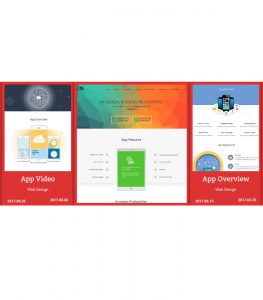 Portfolio X | WordPress Plugin by QuantumCloud